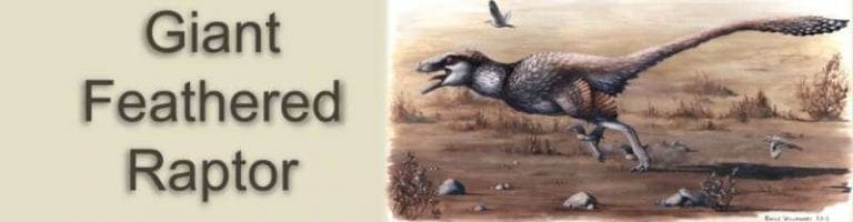 Dakotaraptor: a giant, feathered, winged raptor? – The Creation Club ...