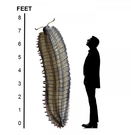 Clues to What the Pre-Flood World was Really Like – The Creation Club ...