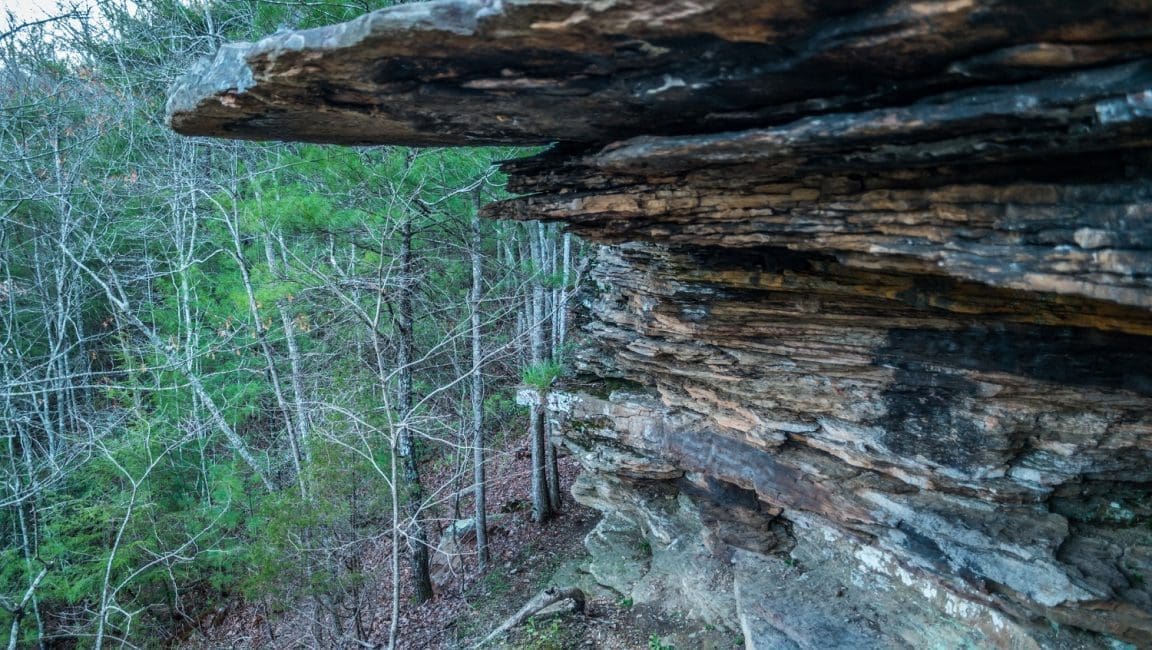 Basic Guide to Interpreting the Geologic Column – The Creation Club | A ...
