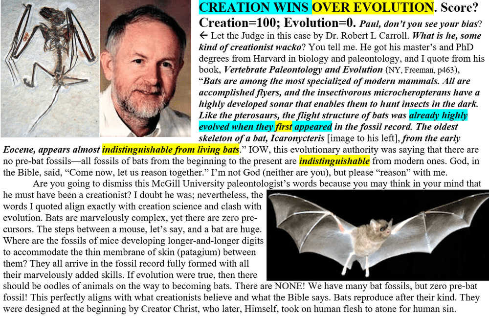 The (Non-)Evolution of Bats – The Creation Club | A Place for Biblical ...