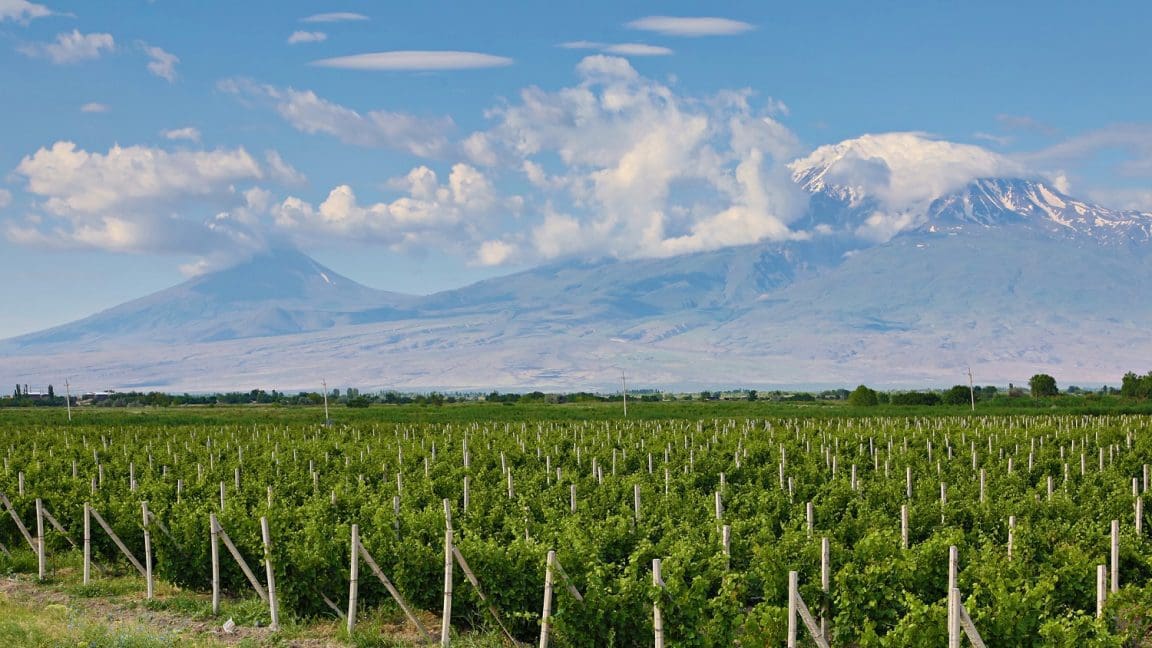 The Curse of Canaan: Part 1 – The Creation Club | A Place for Biblical ...