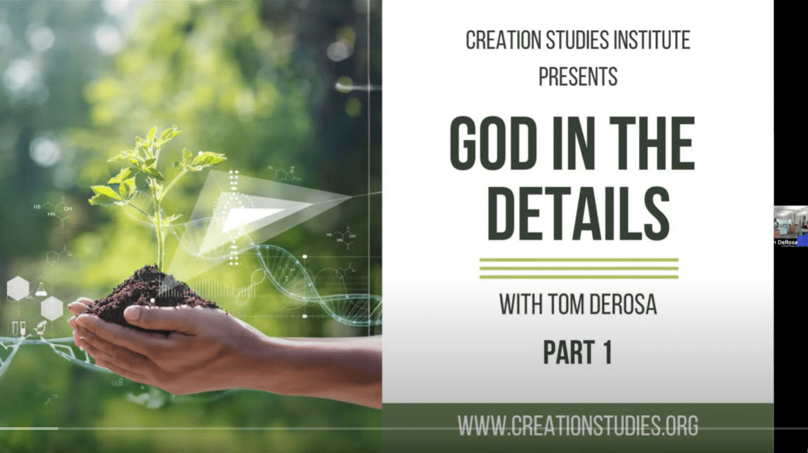 Advanced Optics: Corrective Lenses – The Creation Club | A Place for ...