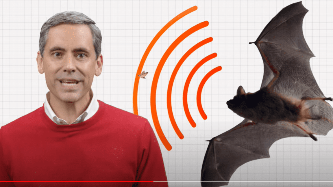 Genesis 2 Puzzles Explained – The Creation Club | A Place for Biblical ...